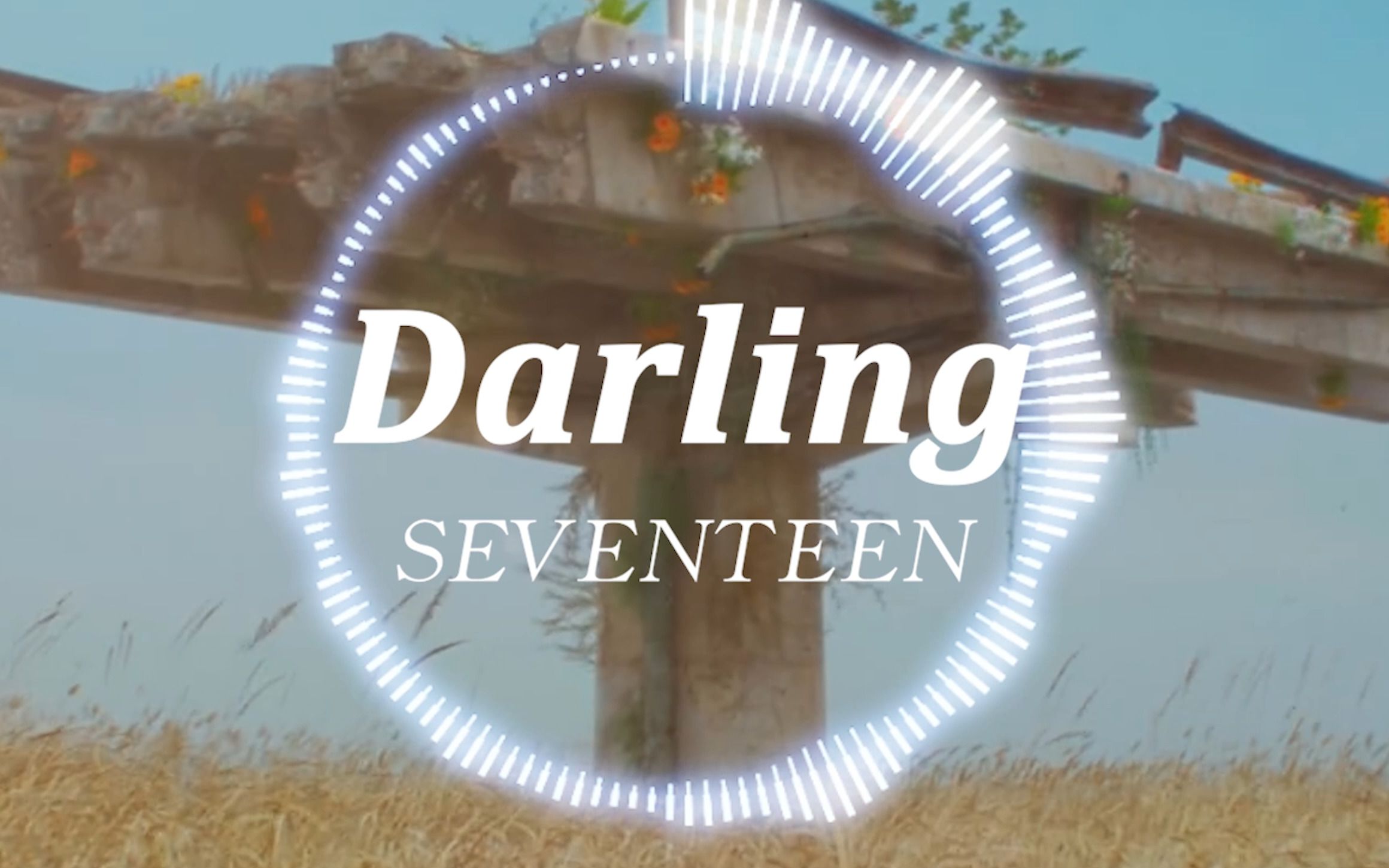 专属小十七的温柔浪漫！【Hi-Res无损/英文歌词】SEVENTEEN《Darling》| 音乐可视化 | 动态歌词-Music小铁匠 ...