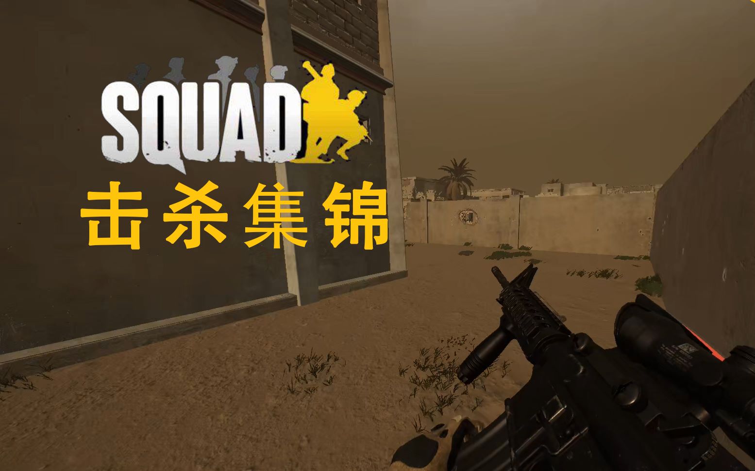 【squad 战术小队】超燃/击杀集锦 享受杀戮盛宴吧！（1080p）_哔哩哔哩_bilibili