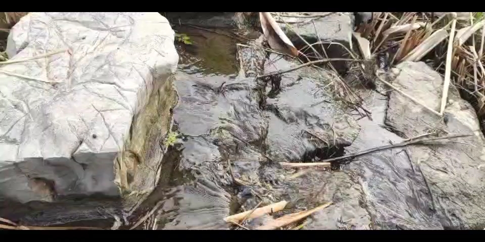 原 声 大 碟_哔哩哔哩_bilibili