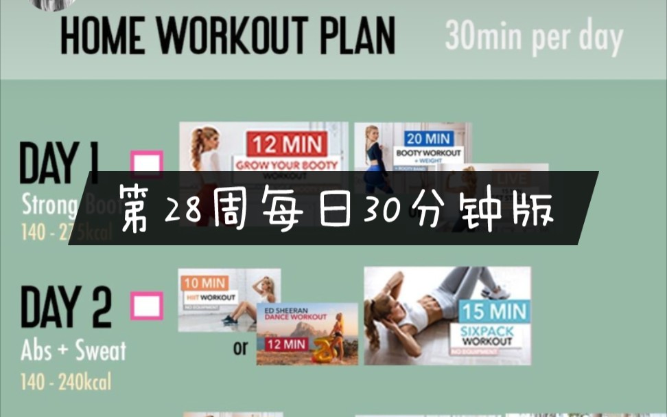 【WEEK 28 of 2021】PAMELA REIF Home Workout Plan 30min per day 帕梅拉居家锻炼每日 ...