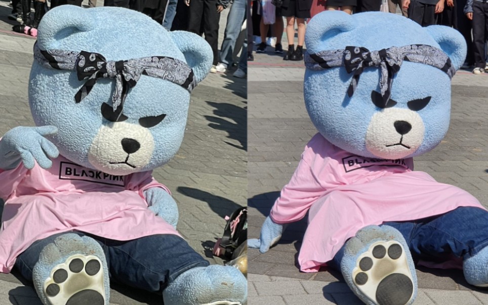 这次是谁在里面？！Krunk的随机舞蹈之BLACKPINK演唱会_哔哩哔哩_bilibili