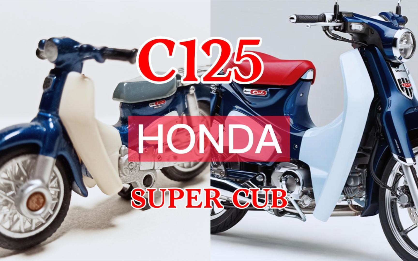 在家翻出一台本田幼兽C125，居家第45天，看我这状态_哔哩哔哩_bilibili