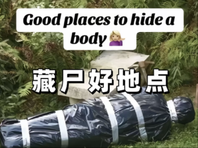 生 活 小 妙 招-Pheebo菲宝-Pheebo菲宝-哔哩哔哩视频