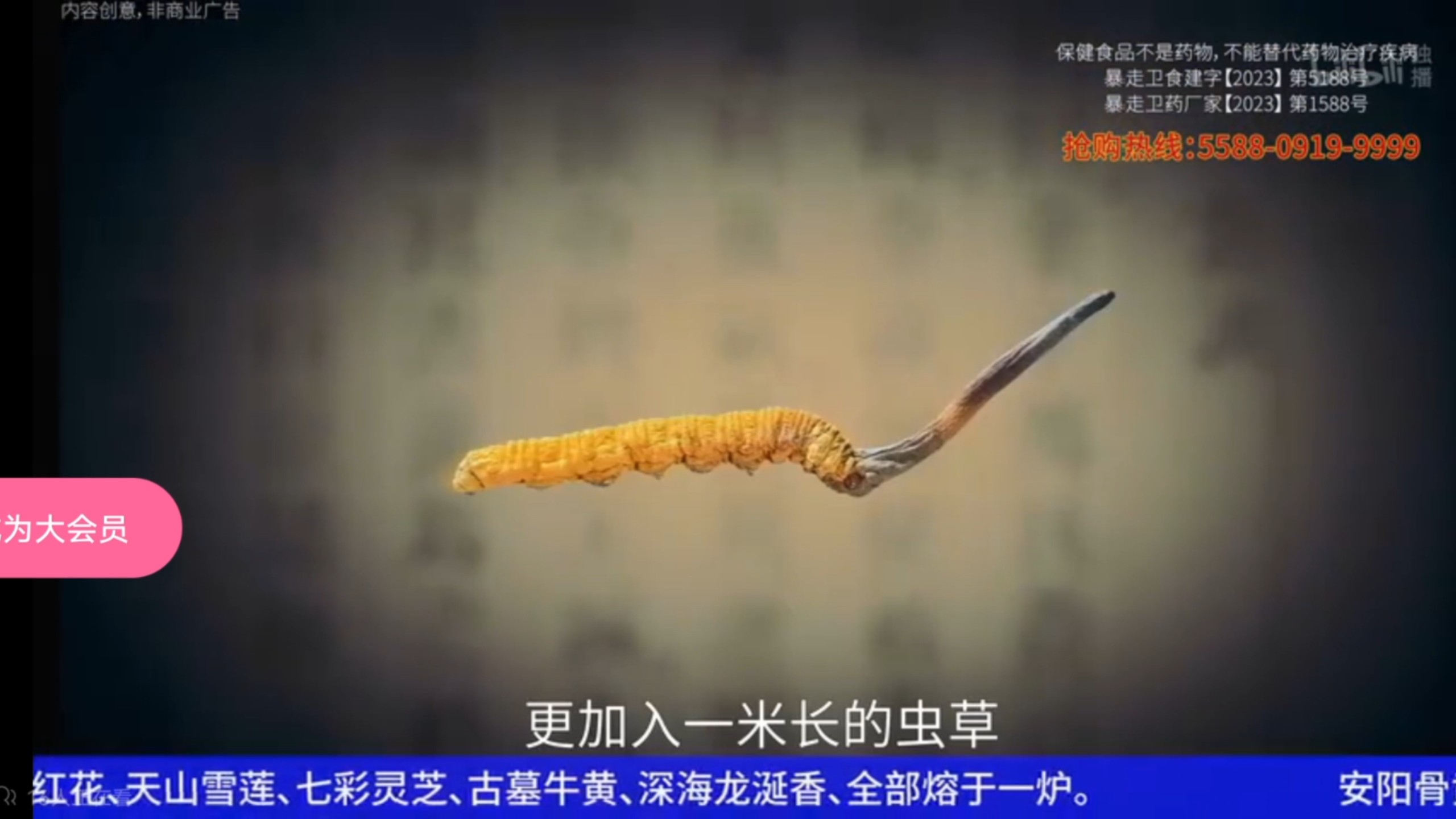 【4K60帧】完整版王尼玛《片场日记》视频，一米长的冬虫夏草……（安阳古黄金）