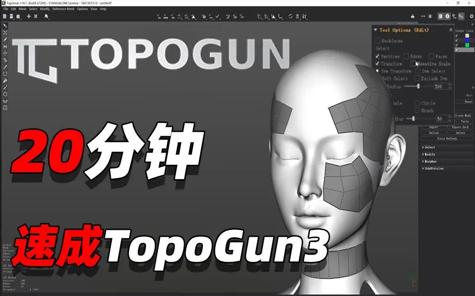 TopoGun3零基础全面详解教程，最实用的命令和用法，20分钟教你速成topogun3_哔哩哔哩_bilibili