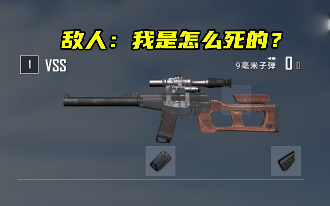 VSS的使用秘籍，带你打开新世界的大门！_网络游戏热门视频