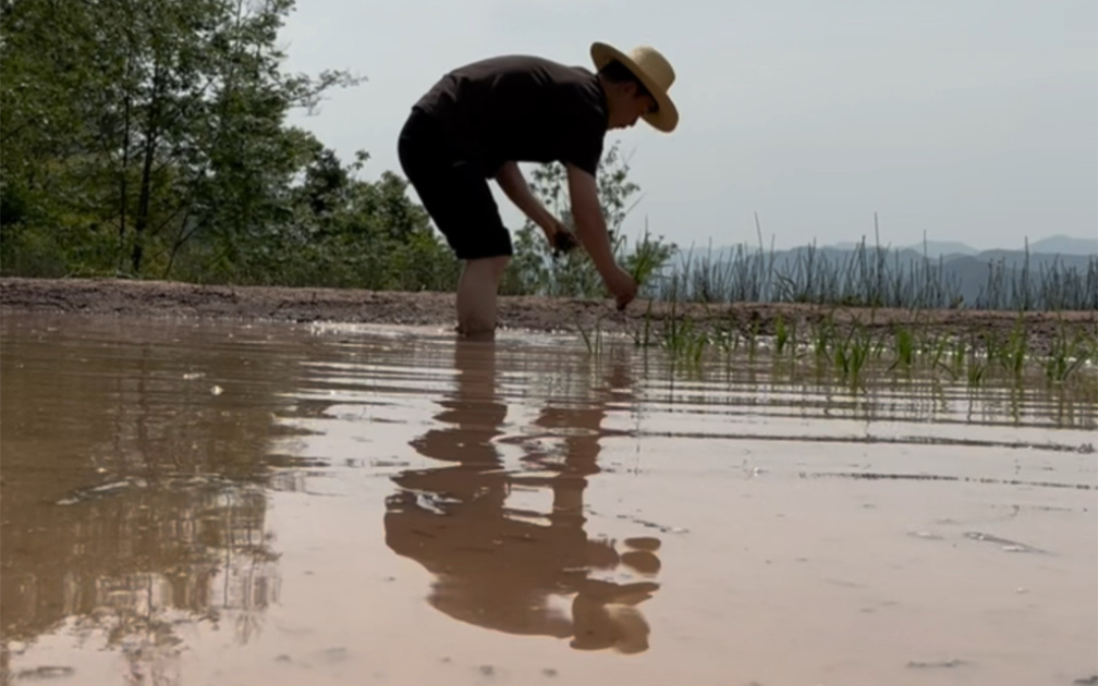 小时候一直不理解大人的世界，为什么那么早起床，每天都是忙忙碌碌，长大后才明白，叫醒他们的不是闹钟，却是生活和责任。-马二娃-马二娃-哔哩哔哩视频