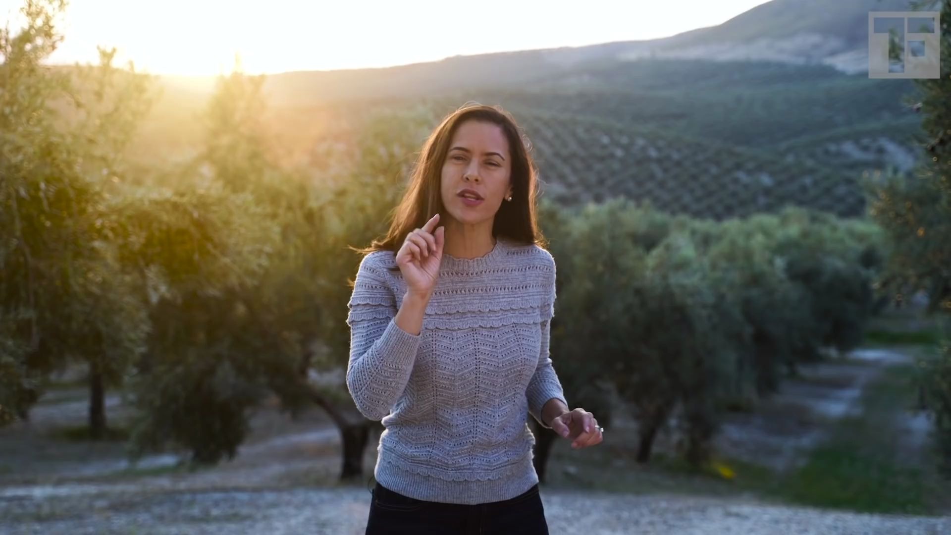 【true food tv】高品质的橄榄油是如何生产的_哔哩哔哩_bilibili