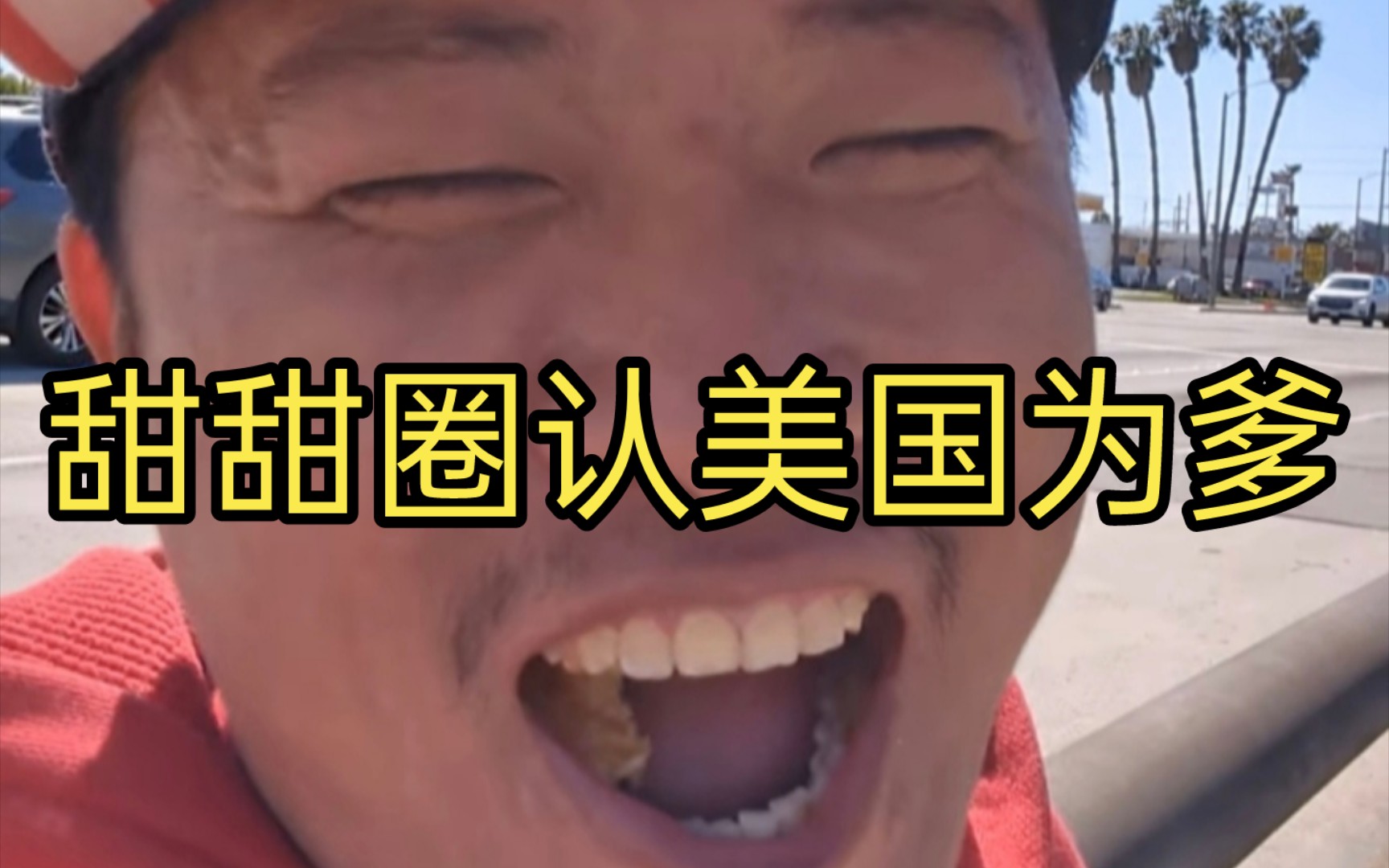 甜甜圈真好吃王伟恒（五十七）在美国的王伟恒，吃多了甜甜圈胡言乱语，冒认美国为野爹。-账号已注销-账号已注销-哔哩哔哩视频