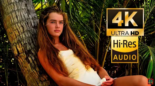 【4K60FPS/Hi-Res】丹麦旋律重金属乐队Pretty Maids - 《Please Don't Leave Me》_哔哩哔哩_bilibili