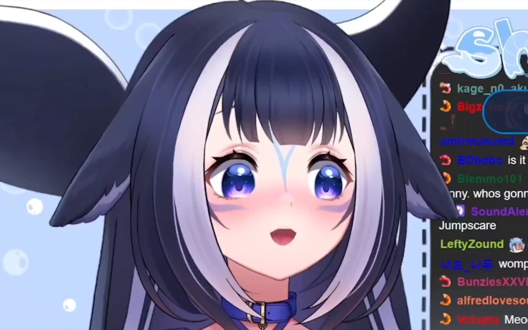 【Shylily】可爱过载