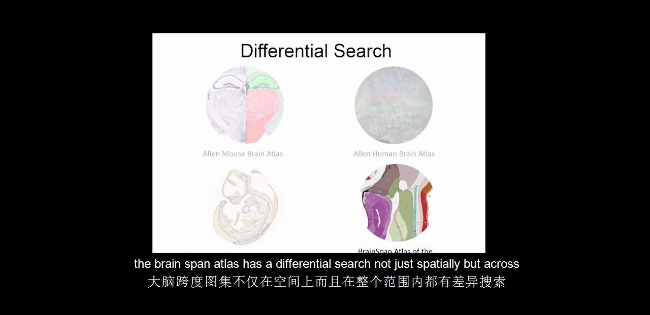Allen Brain数据库搜索演示_哔哩哔哩_bilibili