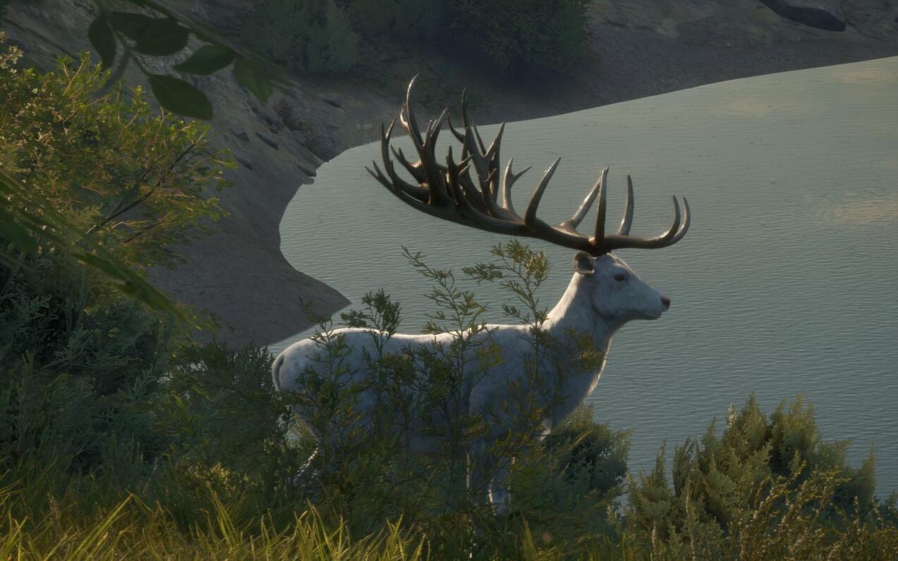 theHunter ：荒野的召唤 这可能是迄今为止最为稀有的战利品之一 拍摄传 - 哔哩哔哩