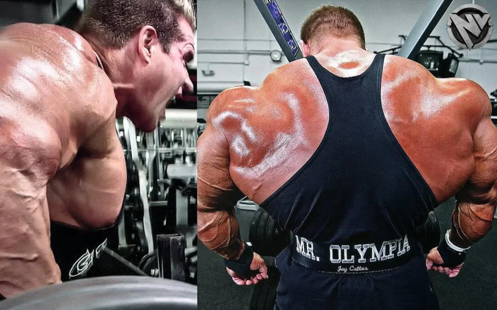 与乔卡特打造极宽的背部－让我们成长（精神氮泵）-DizzYK-健身-哔哩哔哩视频