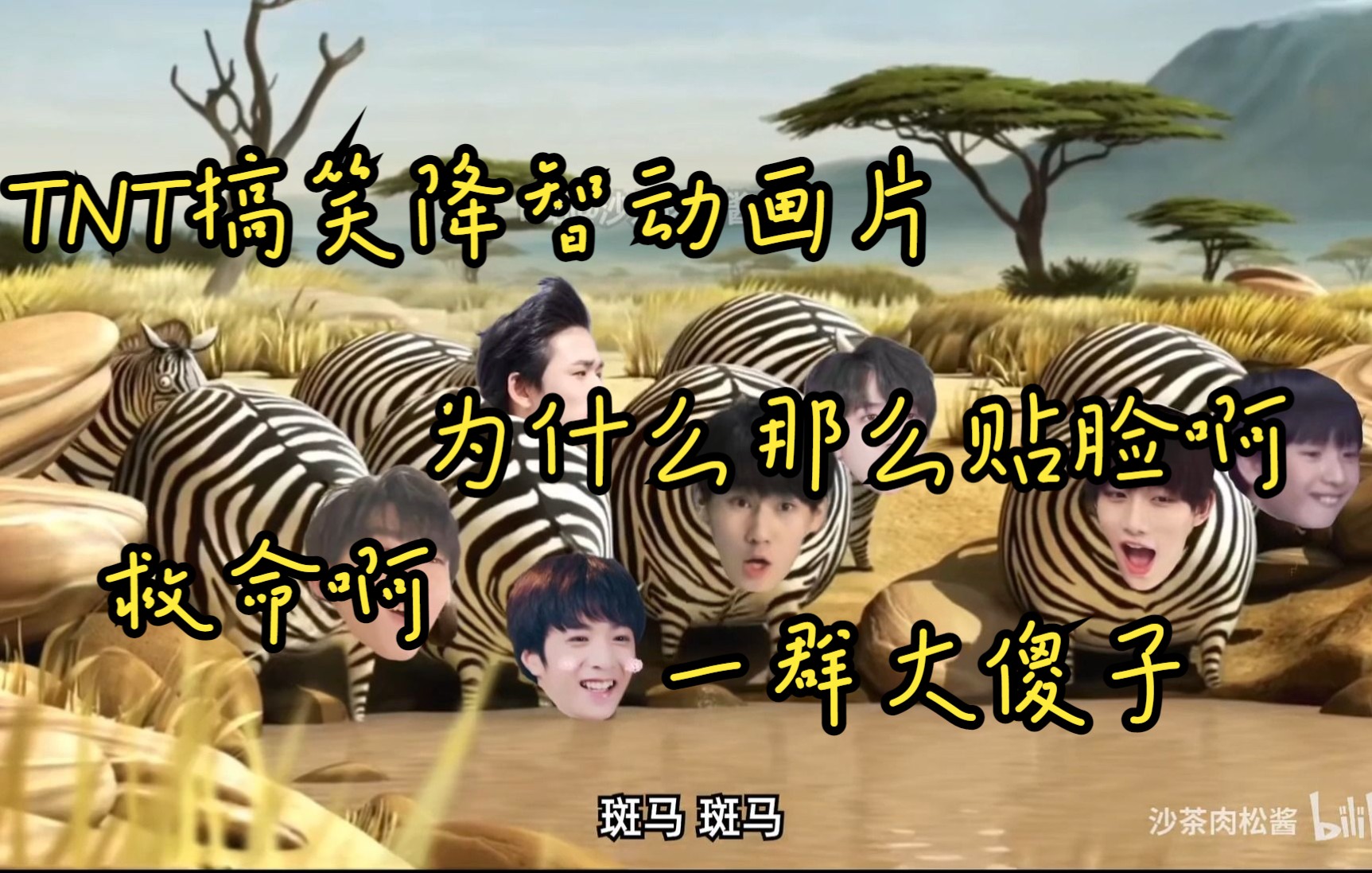 【时代少年团搞笑reaction】TNT搞笑降智动画片，真的太贴脸了_哔哩哔哩_bilibili