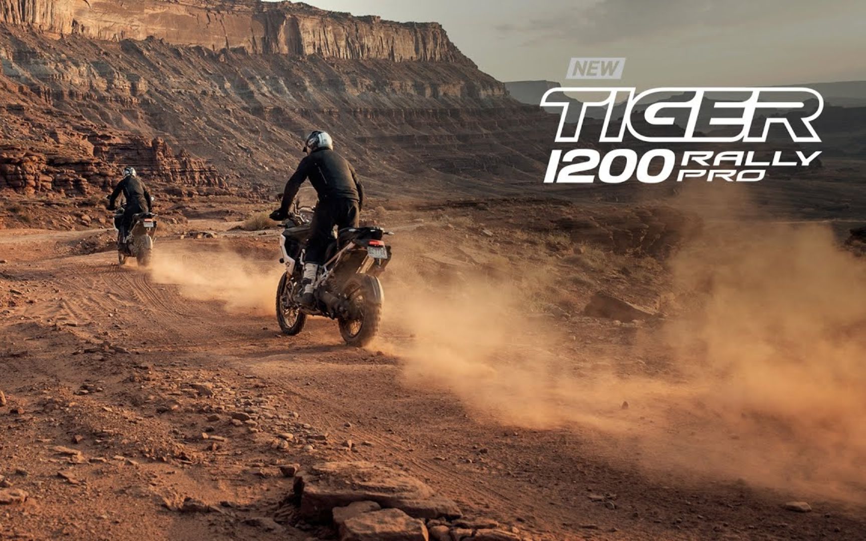 2022 凯旋 Tiger 1200 Rally Pro官方宣传片_哔哩哔哩_bilibili