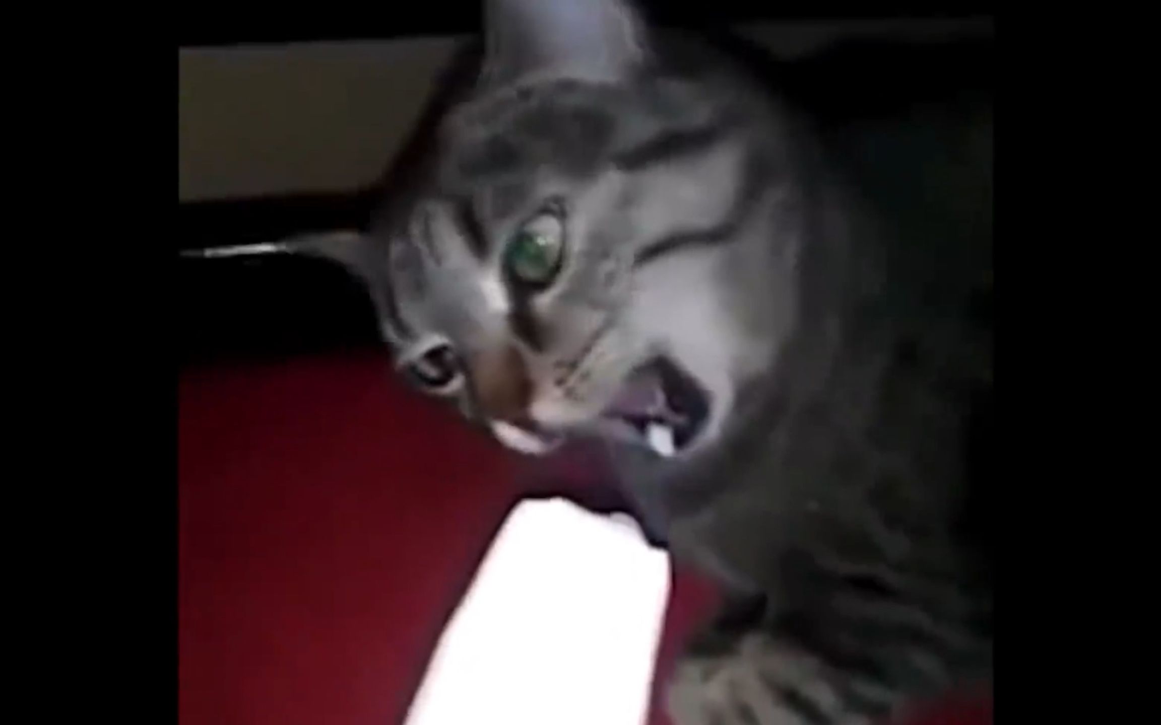 BRUH #107-TØm-TØm-哔哩哔哩视频