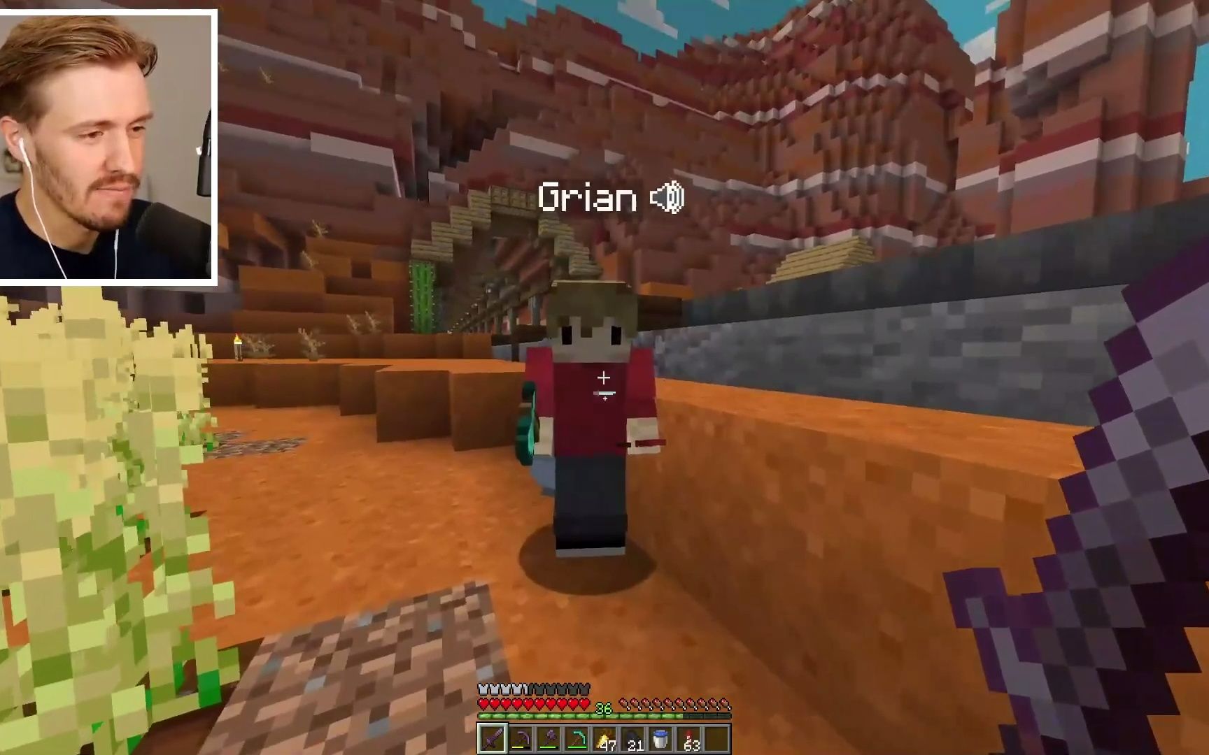 【双字】Grian和Scar的猫猫互挠 极限生存系列