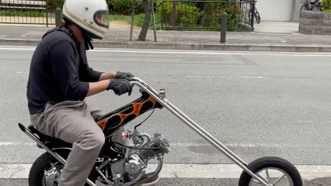 【chopper】小猴子chopper_哔哩哔哩_bilibili