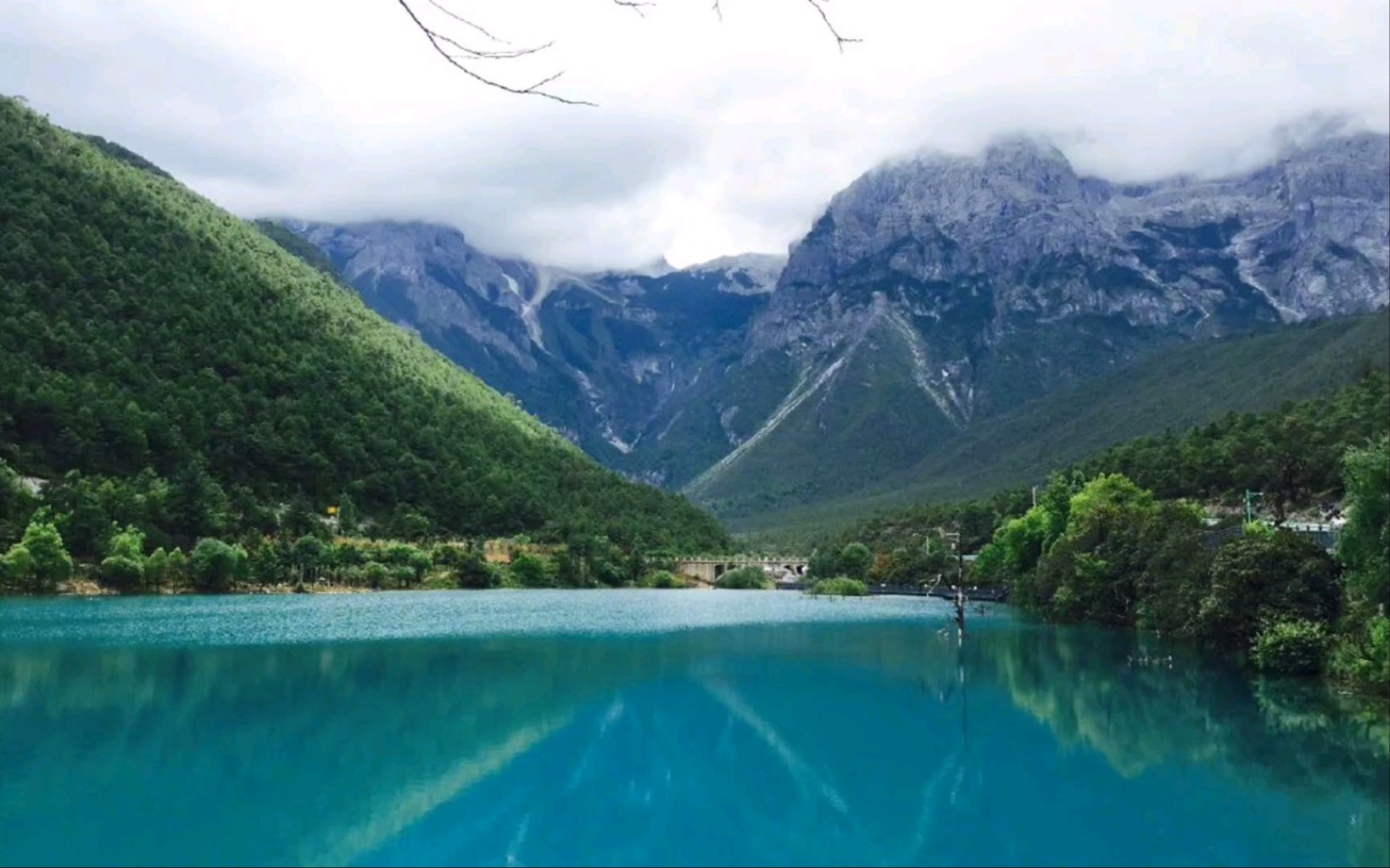 dongri 5_哔哩哔哩_bilibili