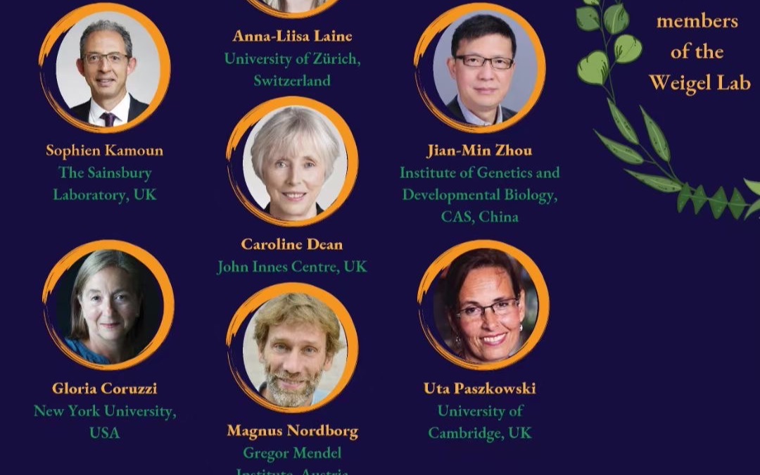 Detlef Weigel生日学术研讨会第三部分_哔哩哔哩_bilibili