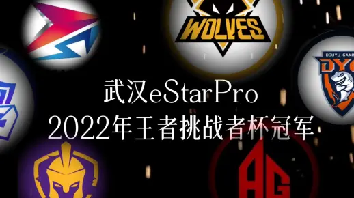 “KPL所有冠军合集 御三家独占大壁江山”_哔哩哔哩bilibili_王者荣耀