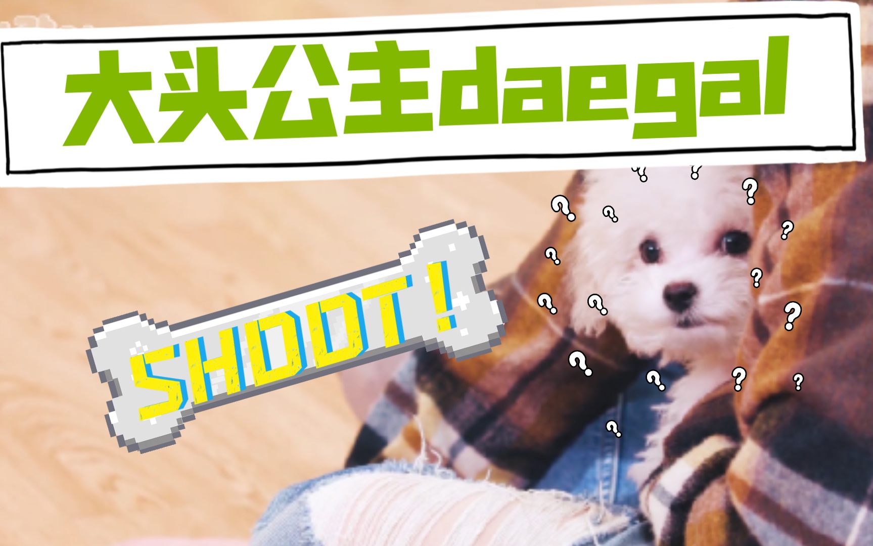 【NCT/daegal】女明星大头公主daegal的SHOOT你看过吗！？_哔哩哔哩_bilibili