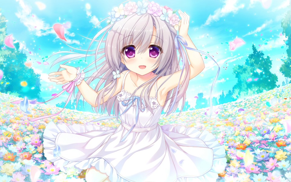 gal推荐【PC/KR】不败世界与终焉之花 - 视频下载 Video Downloader