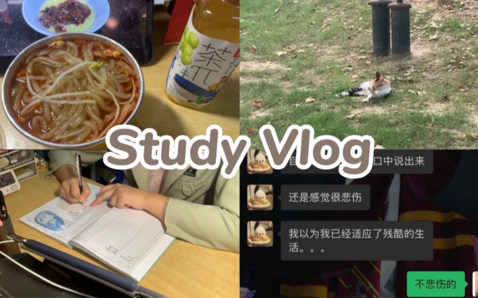 StudyVlog 0930｜站好九月的最后一天岗 准备好迎接十月啦_哔哩哔哩_bilibili