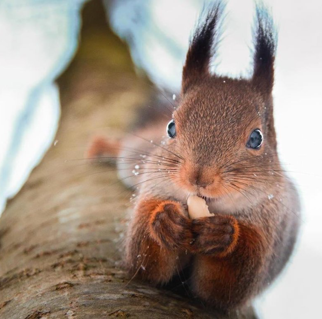 ys8_哔哩哔哩_bilibili