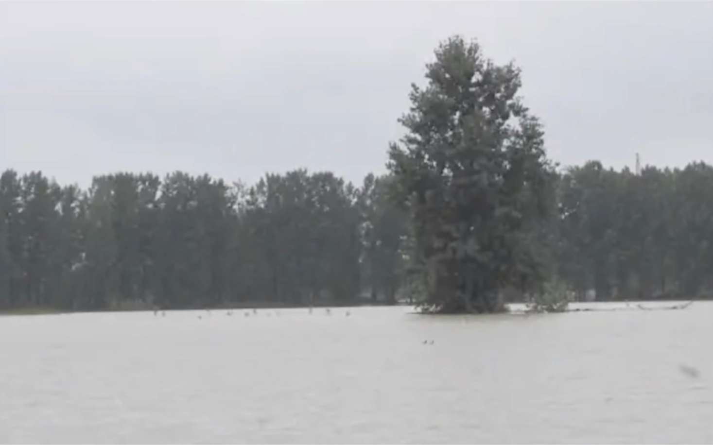 这个社会并不应该只存在利益-超级神奇的木偶-超级神奇的木偶-哔哩哔哩视频