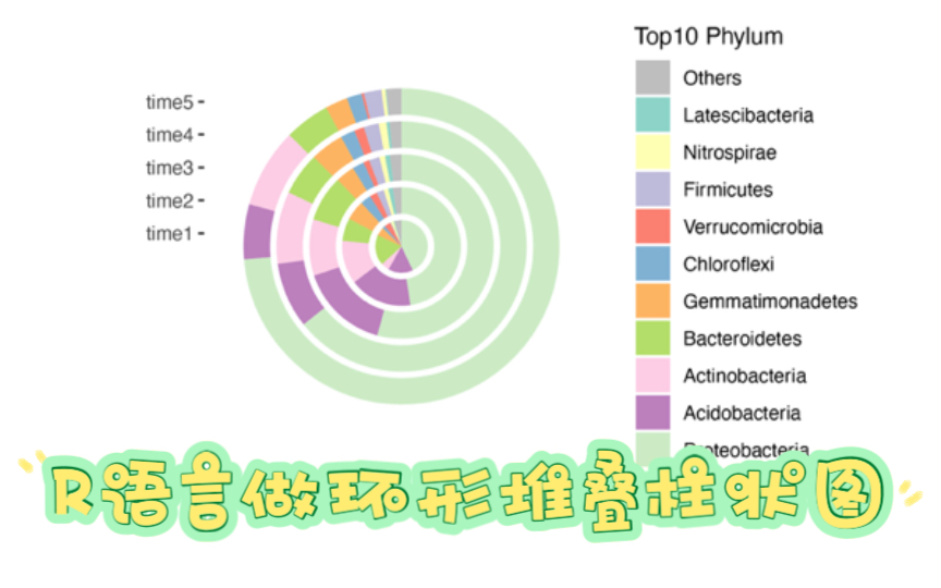 R语言做环形堆叠柱状图-R语言分析作图-R语言分析作图-哔哩哔哩视频