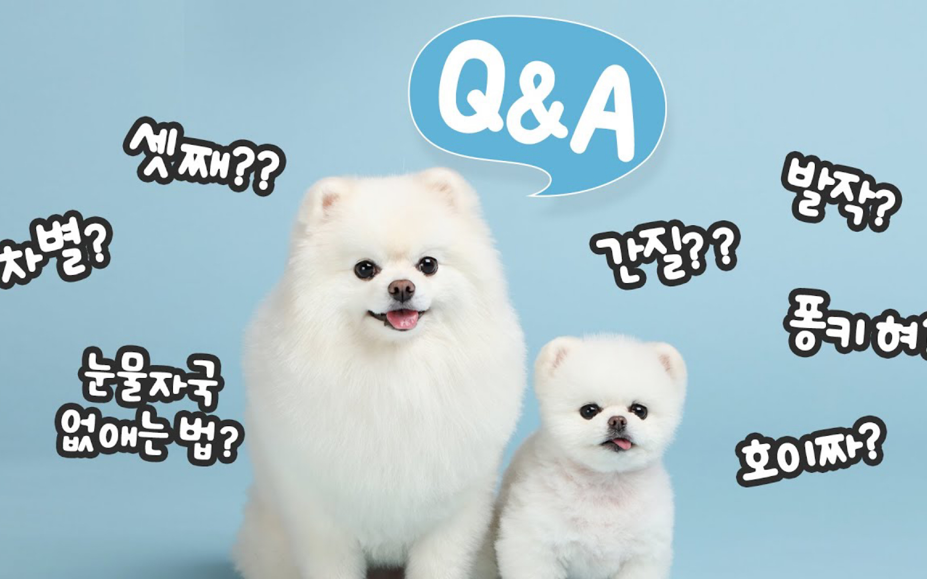 【中字】 RuPong一家｜关于RuPong的Q&A｜RuPong未公开视频大放送_哔哩哔哩_bilibili