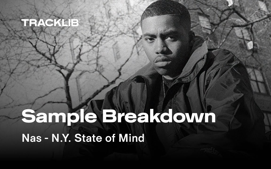 70秒带你认识 Nas「N.Y. State of Mind」如何采样_哔哩哔哩_bilibili
