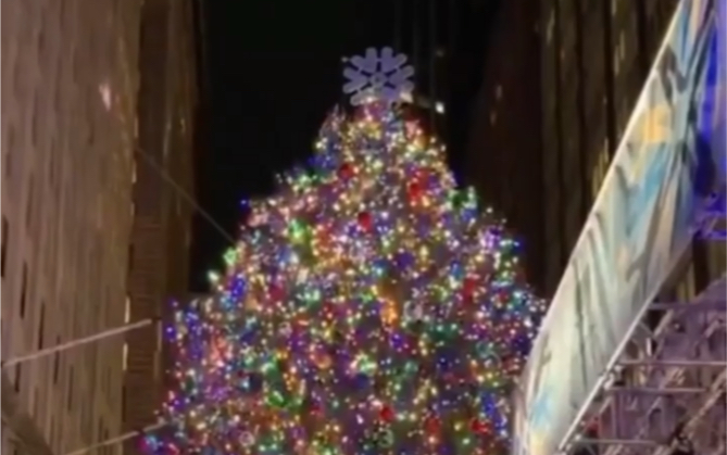 Christmas tree_哔哩哔哩_bilibili