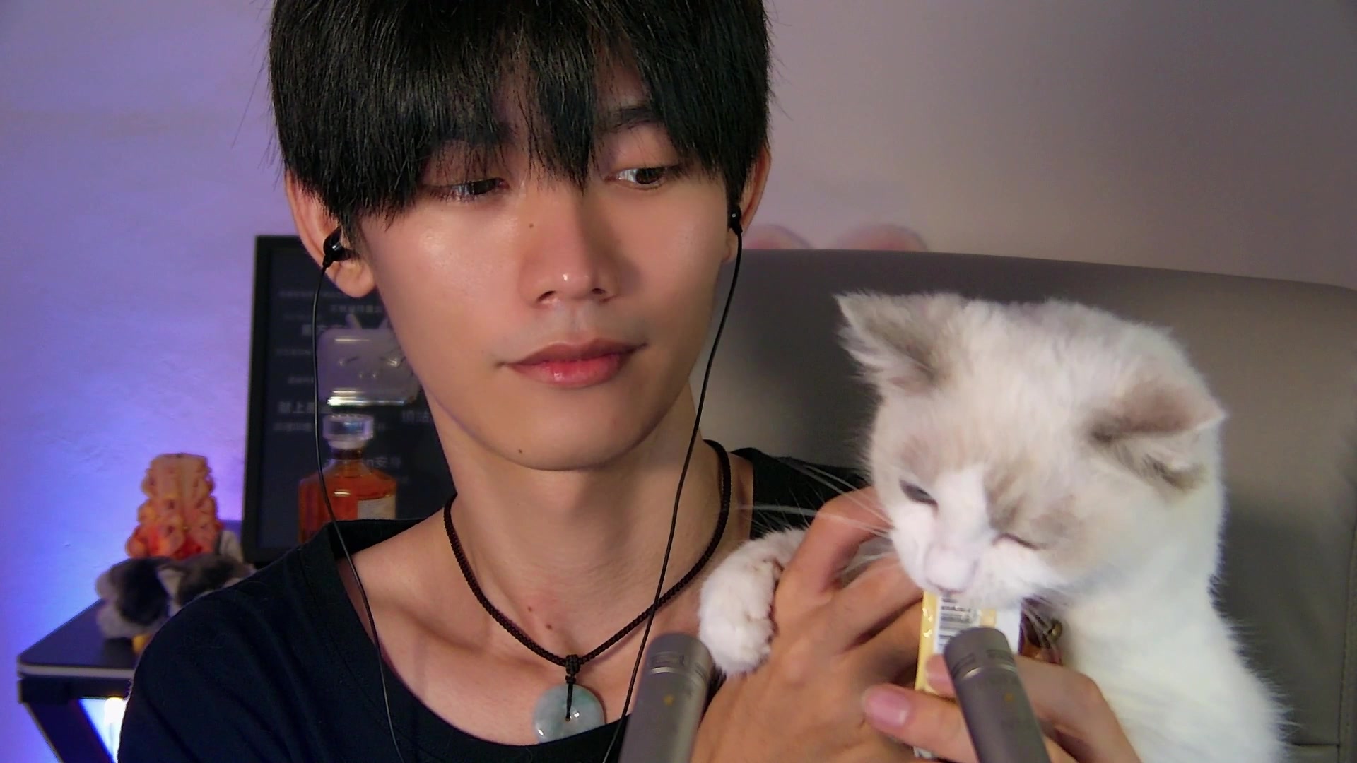 带着猫猫一起给你们做ASMR-anshen安身-anshen安身-哔哩哔哩视频