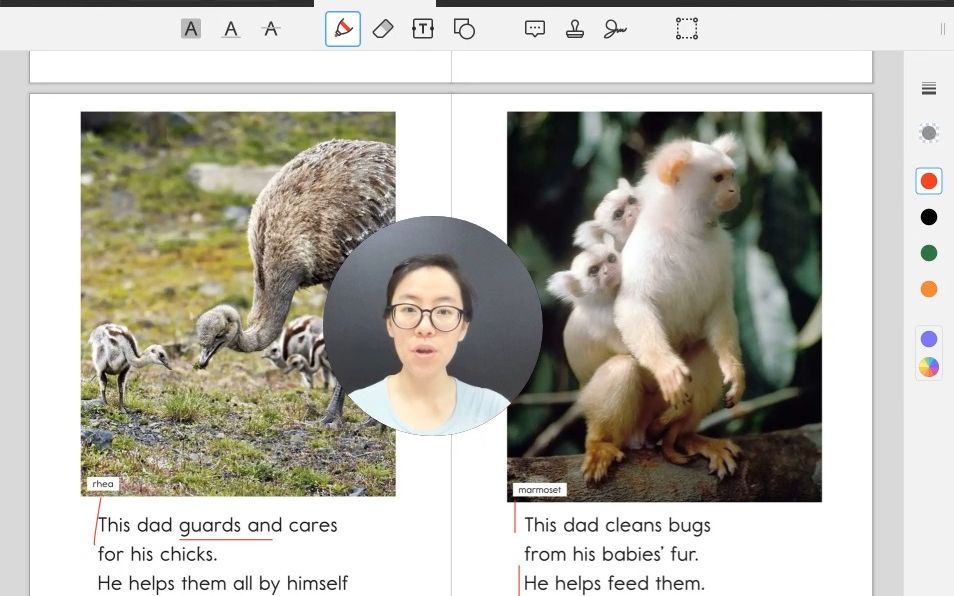 绘本阅读-RAZ分级-LEVEL-F-59-Animal Dads-bilibili(B站)无水印视频解析——6li6在线工具箱