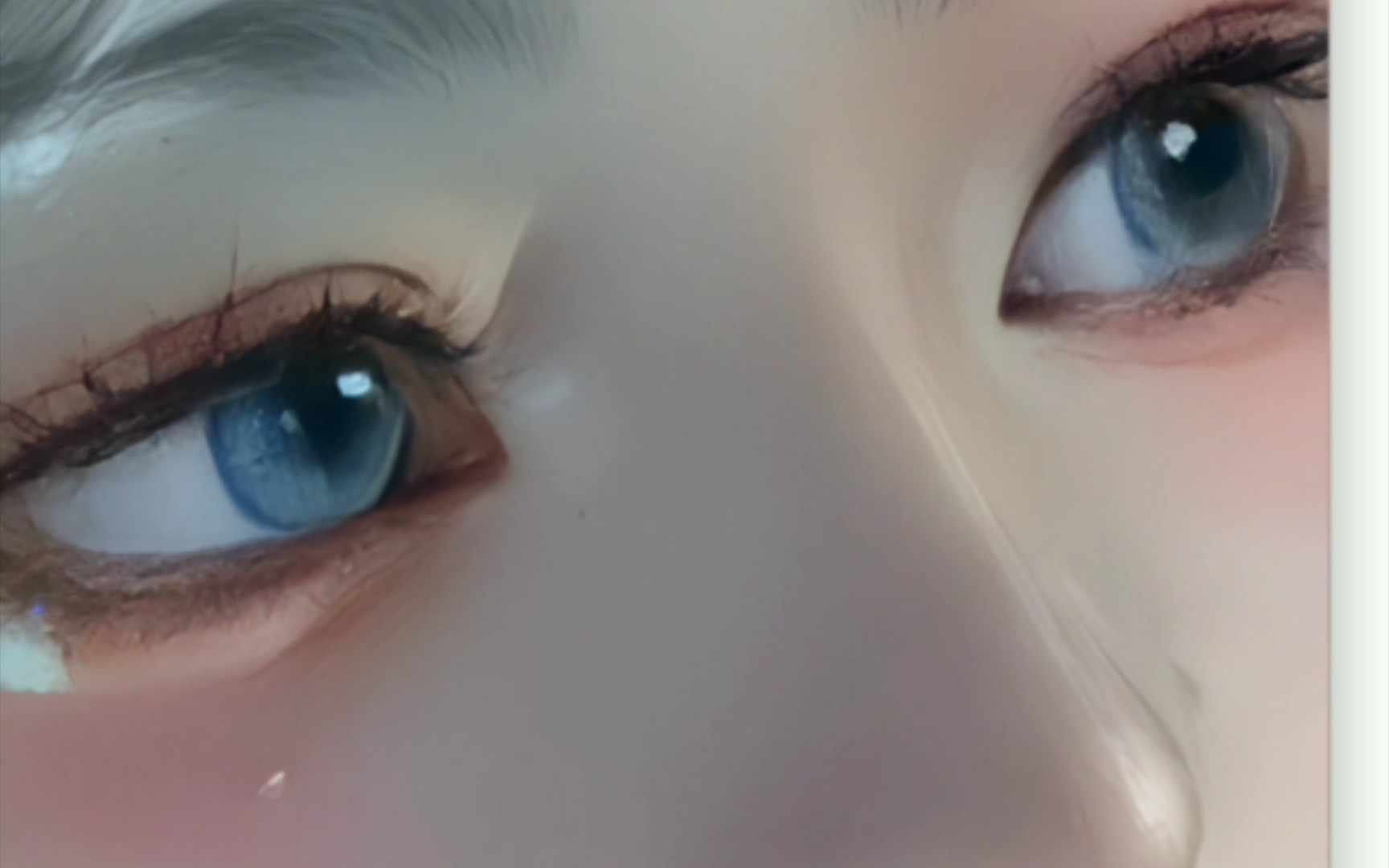 李擎洲 白狐4K - 视频下载 Video Downloader