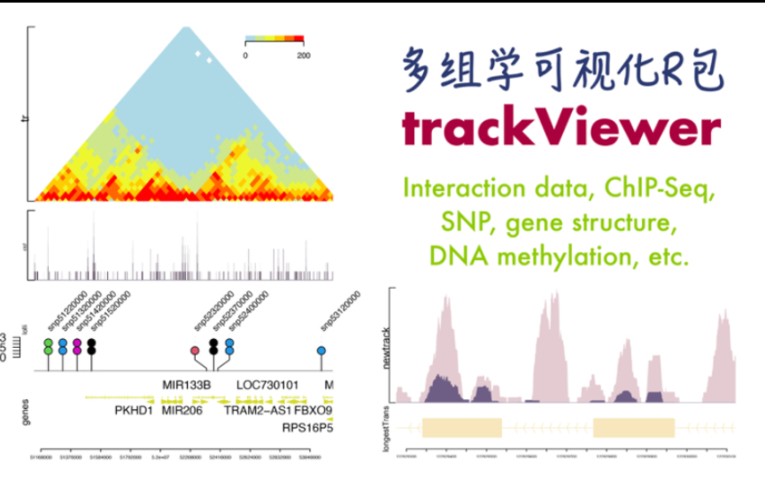 多组学数据可视化R包 trackViewer 实践-谷雨Feeling-技术-哔哩哔哩视频