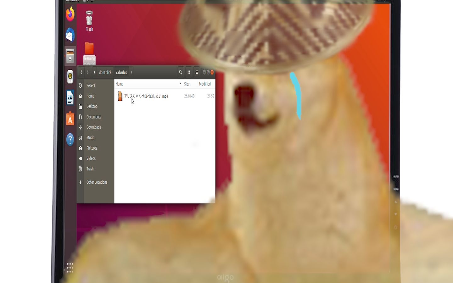 当cheems不在家_哔哩哔哩_bilibili