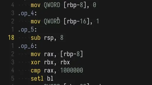 While循环，但是栈溢出 | Tsoding_哔哩哔哩_bilibili