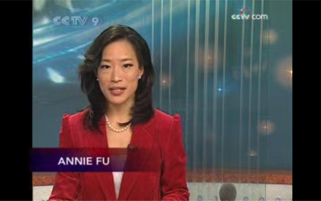 2008年 CCTV International 19:00 World Wide Watch 主播 Annie Fu ...