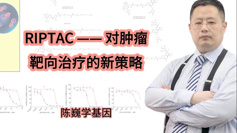 【陈巍学基因】135：RIPTAC——对肿瘤靶向治疗的新策略-陈巍学基因-陈巍学基因-哔哩哔哩视频