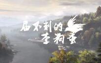 【COC TRPG replay】国内replay个人向推荐 - 哔哩哔哩