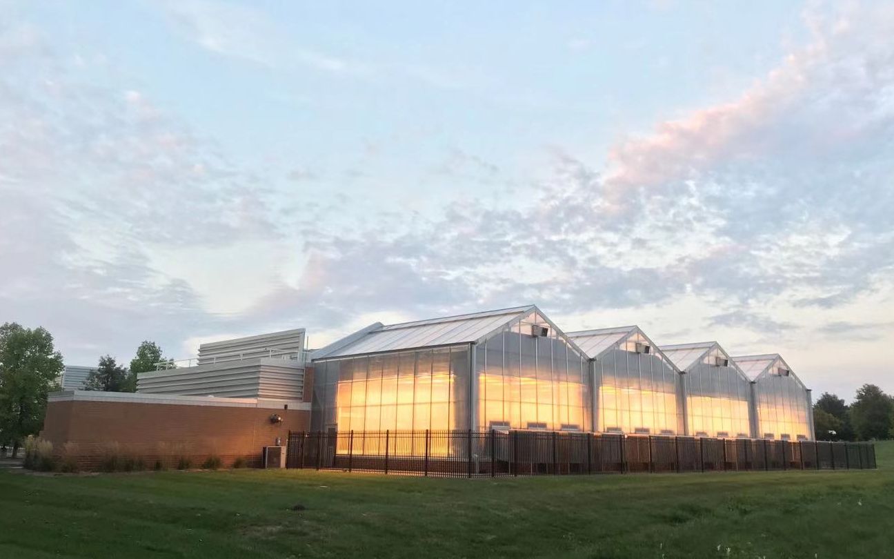 Valder Field_哔哩哔哩_bilibili