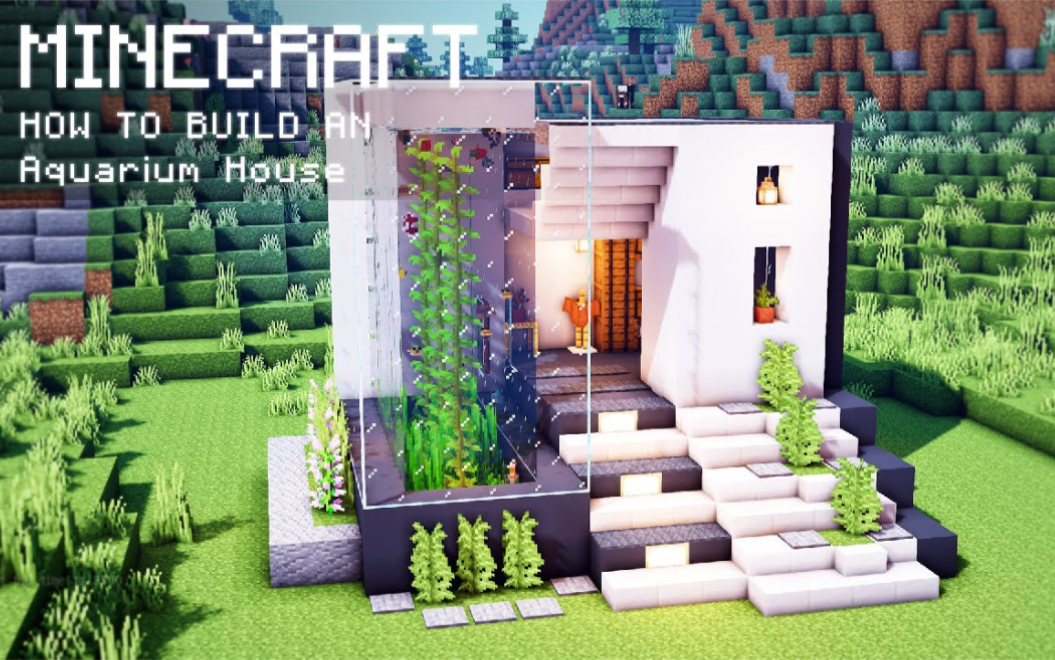 【SheepGG】水族箱观景房（授权转载）_哔哩哔哩_bilibili