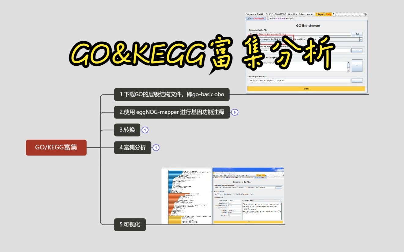 #GO&KEGG#利用TBtools进行富集分析-无Ct和没条带-无Ct和没条带-哔哩哔哩视频