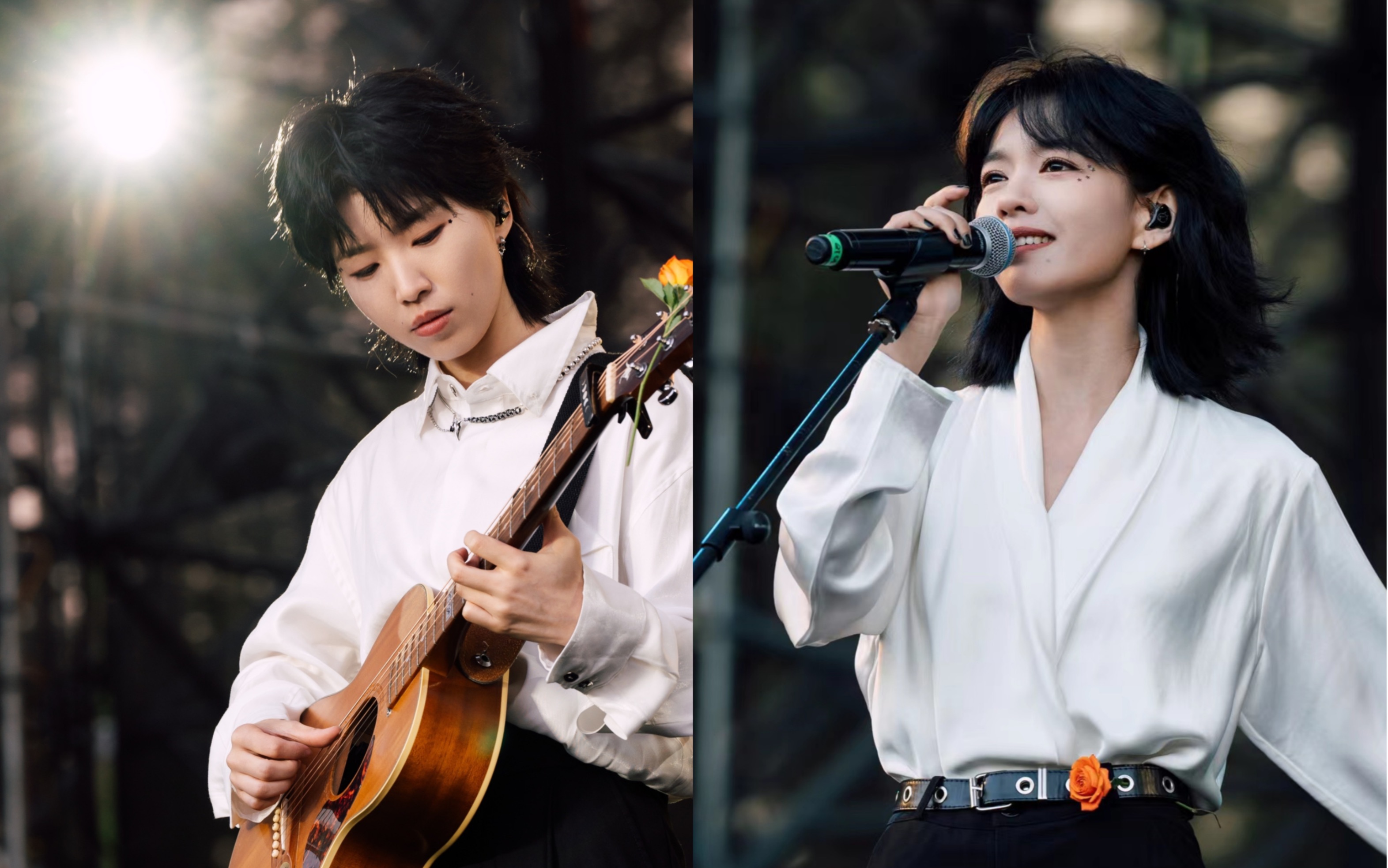 短暂的经历春天～-房东的猫_FDDM-房东的猫_FDDM-哔哩哔哩视频