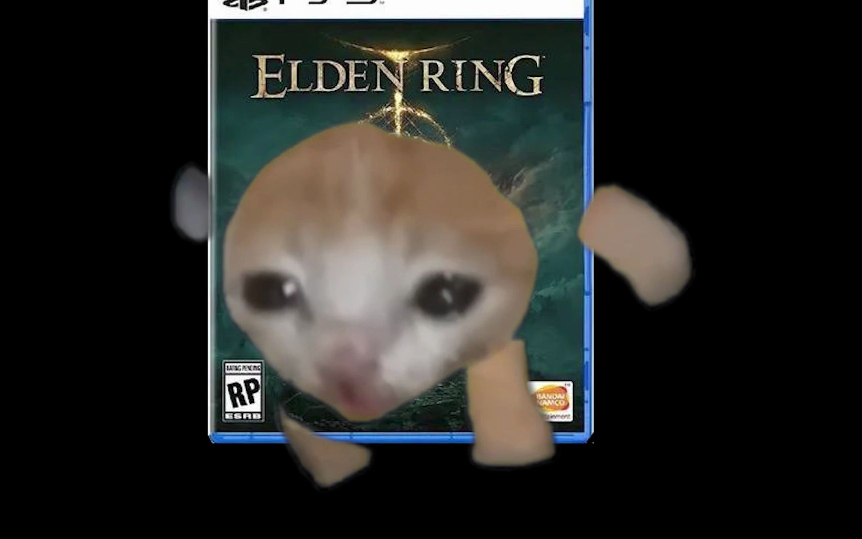 The Elden Ring Cat_哔哩哔哩_bilibili