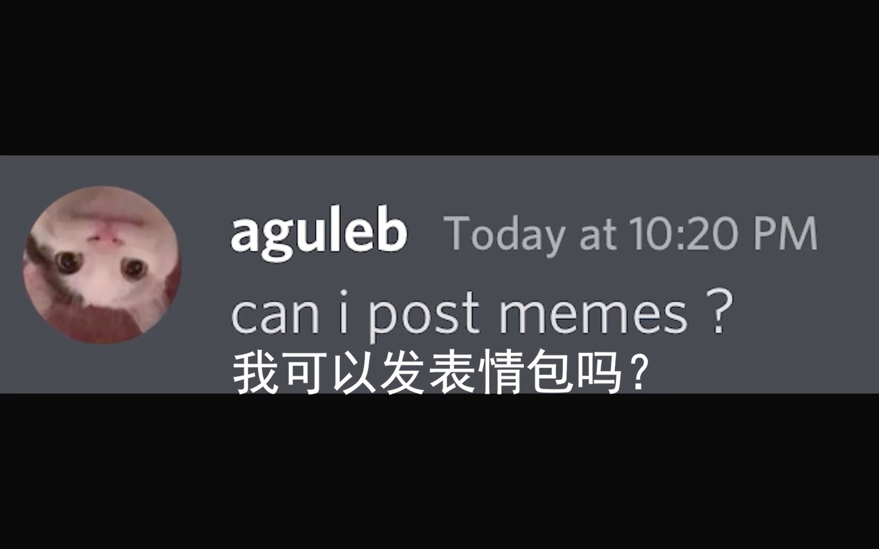 [Beluga和他的小伙伴] 于死然竟aguleB！惊震-Beluga官方字幕组-Beluga官方字幕组-哔哩哔哩视频